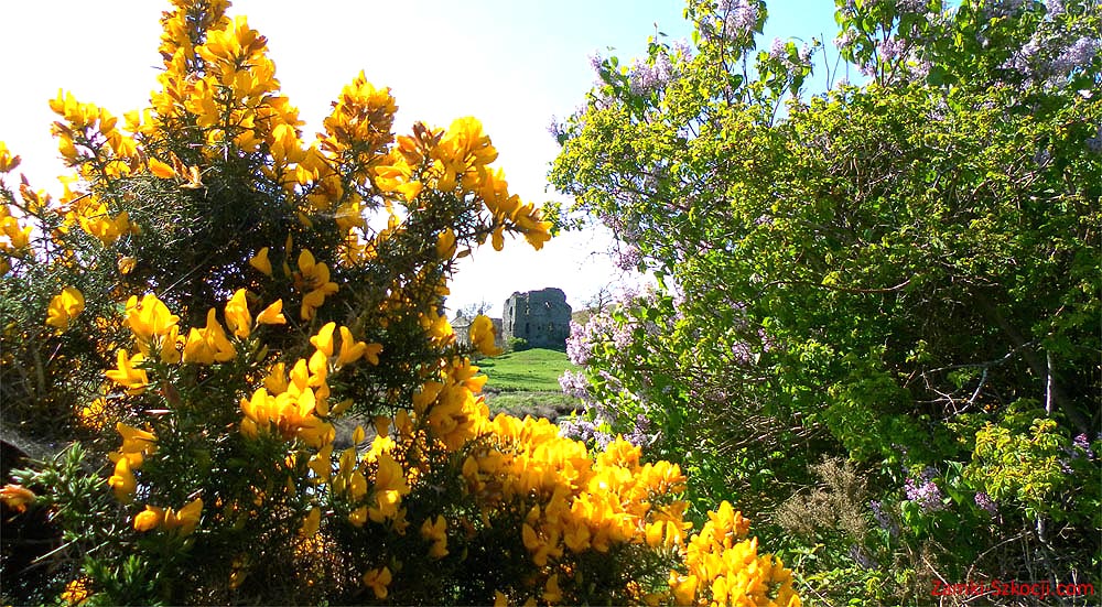 Creich Castle - Zamki Szkocji