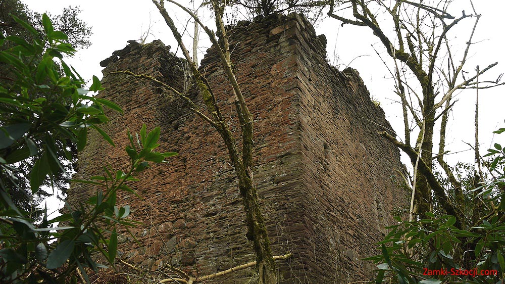 Cluggy Castle - Zamki Szkocji