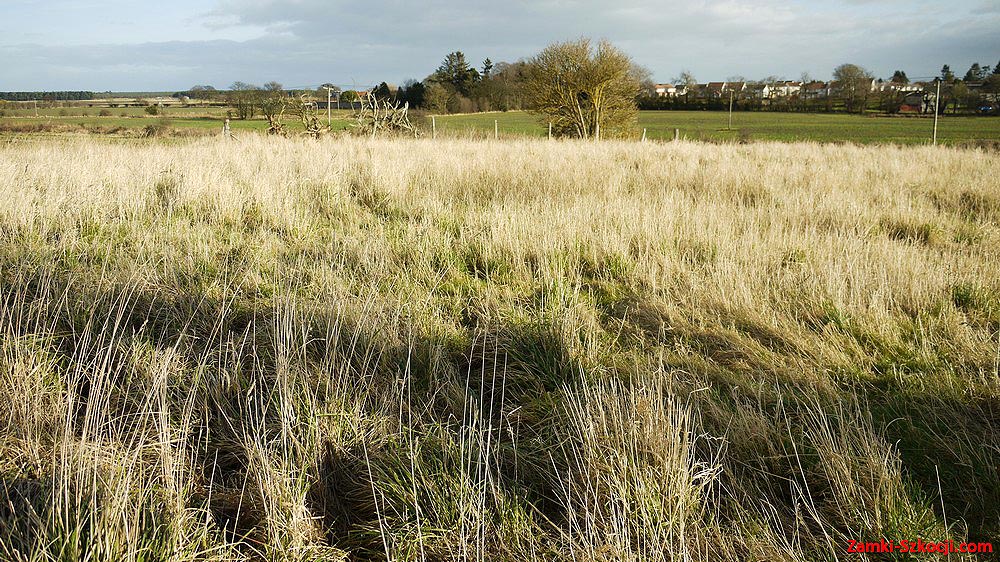 Leuchars Castle - Zamki Szkocji