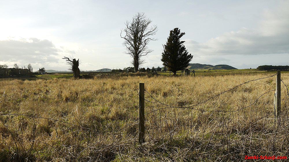 Leuchars Castle - Zamki Szkocji
